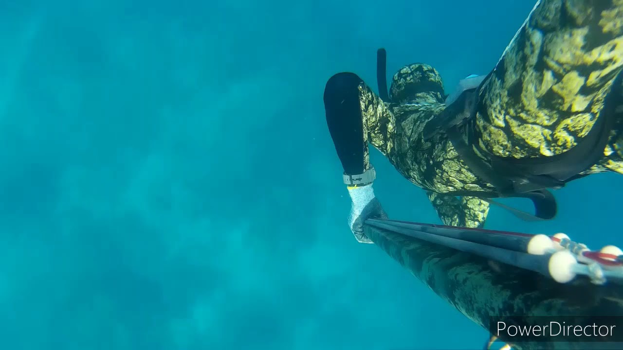 Spearfishing Philippines Cebu South#2 - YouTube