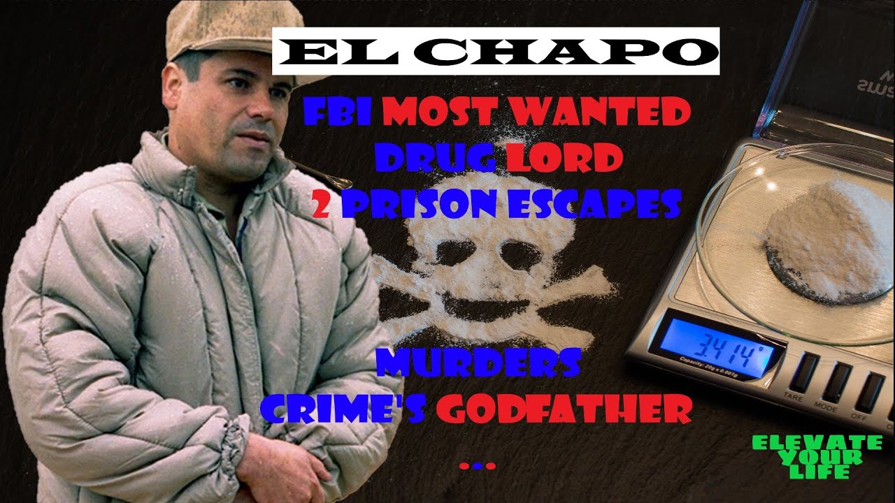 El Chapo FBI MOST WANTED DRUG LORD #mafia #documentary #gangster # ...