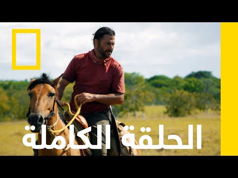 البراري السامة | أساليب البقاء: الهروب من الأمازون | ناشونال جيوغرافيك أبوظبي