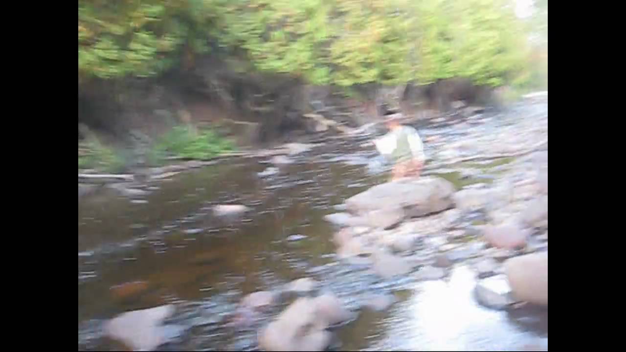 MN Pink Salmon Fly Fishing - YouTube