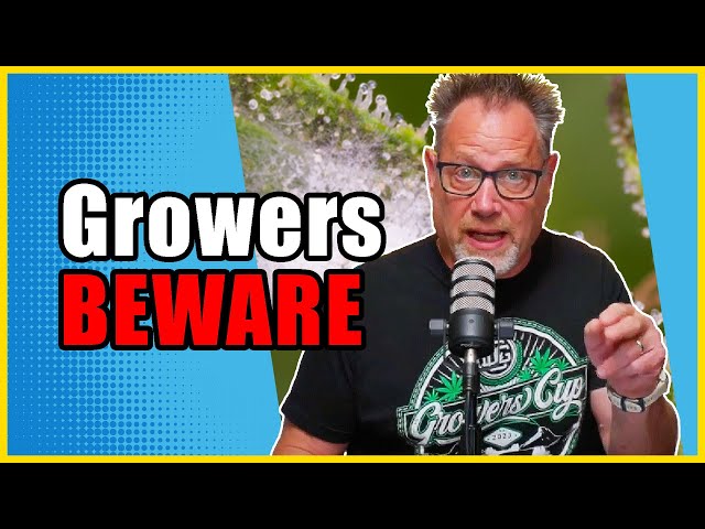 Home - Real Growers Inc