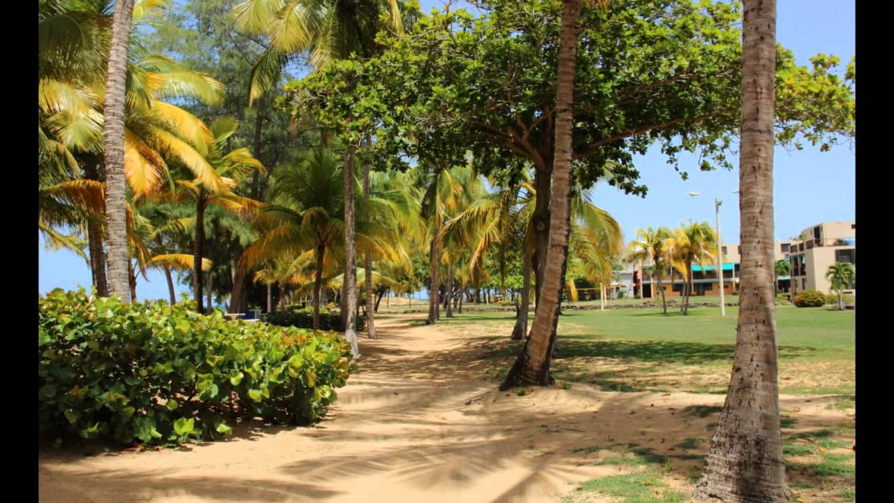 Vistas en Playa Punta Percha, Río Grande, Puerto Rico - YouTube