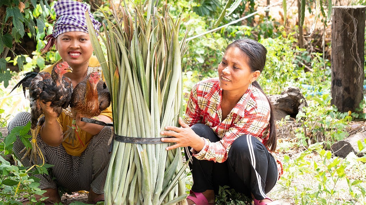 Frying Heart of Pineapple Tree with Chicken - Cooking Inside Pineapple ...