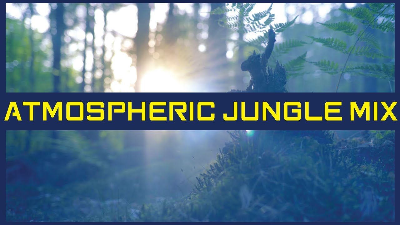 Atmospheric Jungle DJ mix 026 | Mystic Morning DNB journey - YouTube
