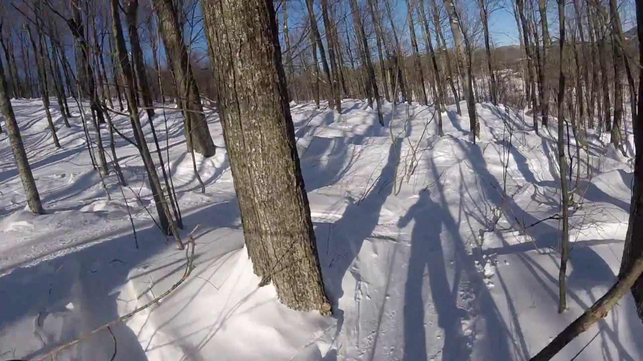 Mount Snow Long John Tree Run - YouTube
