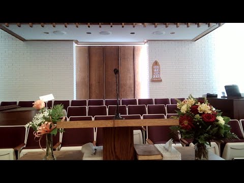 Carol Wood-DeGraw Livestream Broadcast - YouTube