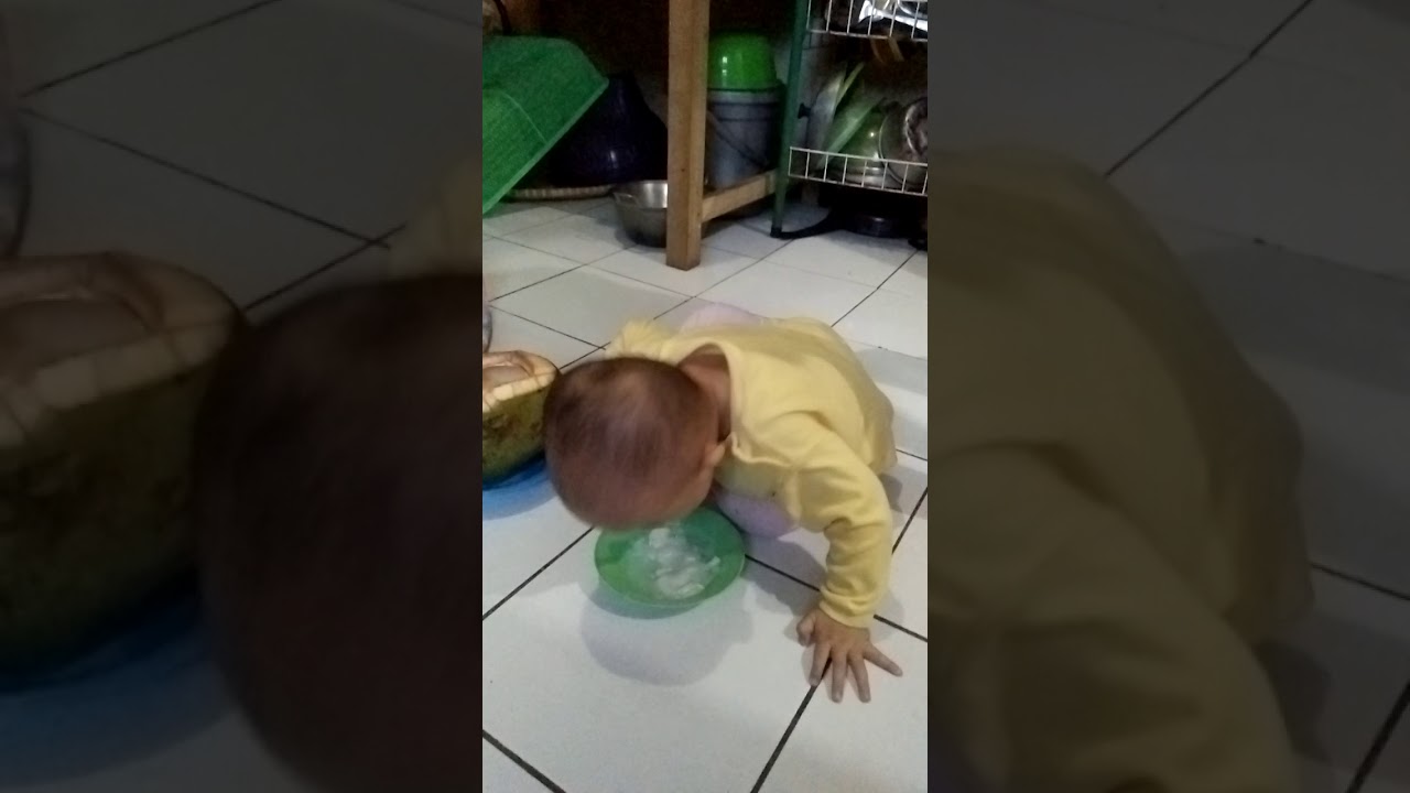 belajar makan menggunakan sendok - YouTube