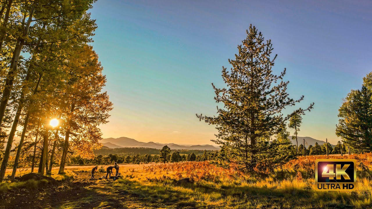 Fall Colors - Flagstaff Arizona 4K UHD - YouTube