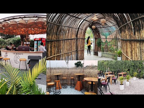 Nest Style Cafe in Surat City🤩 | The Wan Nestz Cafe | Kasundi Paneer ...