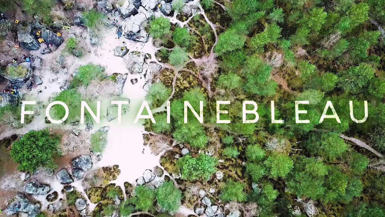 FONTAINEBLEAU | Bouldering in the World-famous Area - YouTube