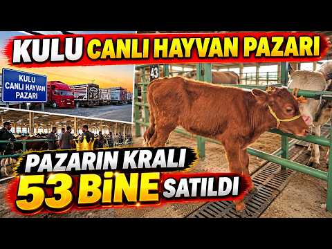 Canlı Hayvan Pazarı Doldu Taştı Ama Satış Yok! Pazarın Kralı 53 BİN TL’ye Gitti