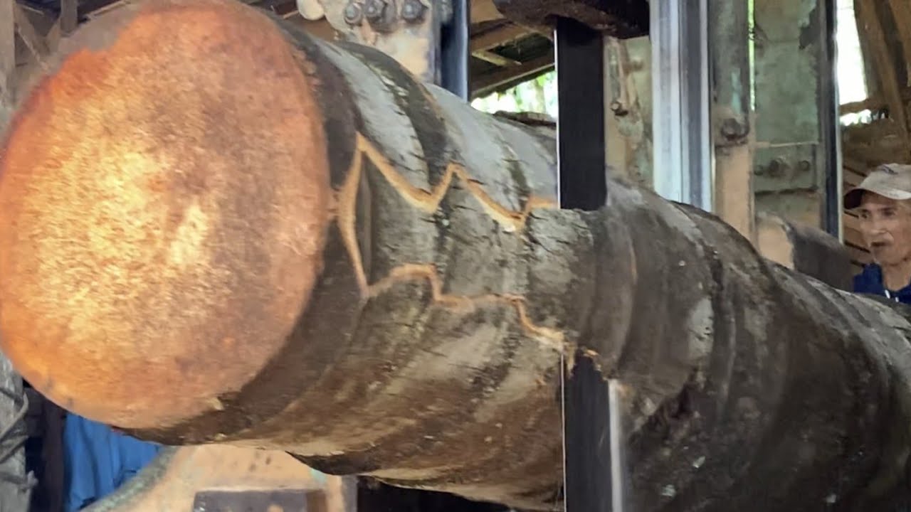 Kayu glugu dari kampung melayu sungguh istimewa di gergaji sawmill ...