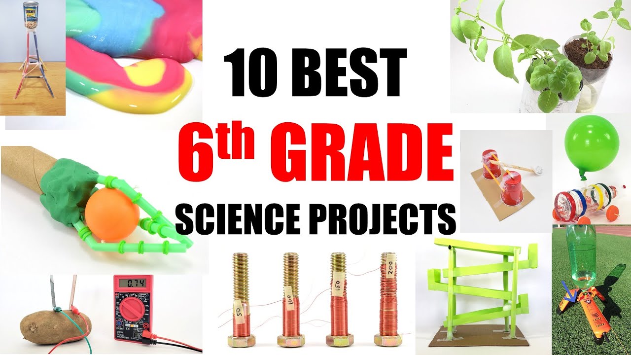 Ace Your Science Fair: The Ultimate Research Paper Guide for US