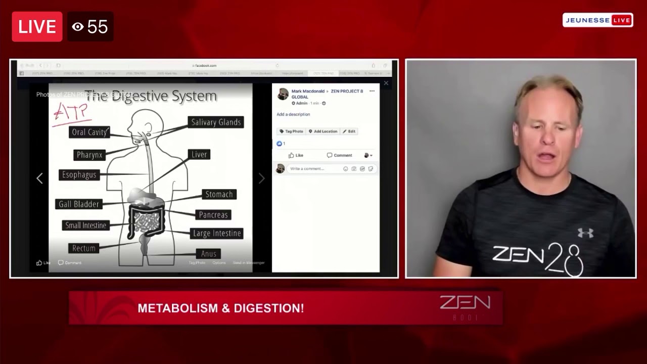 Zen Project 8 - Metabolism and Digestion 101 - YouTube