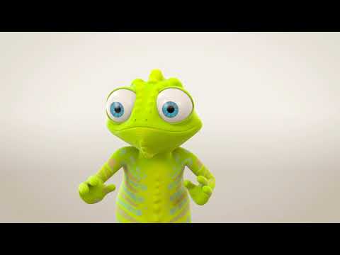 Why Buka 1 - Different Color Options