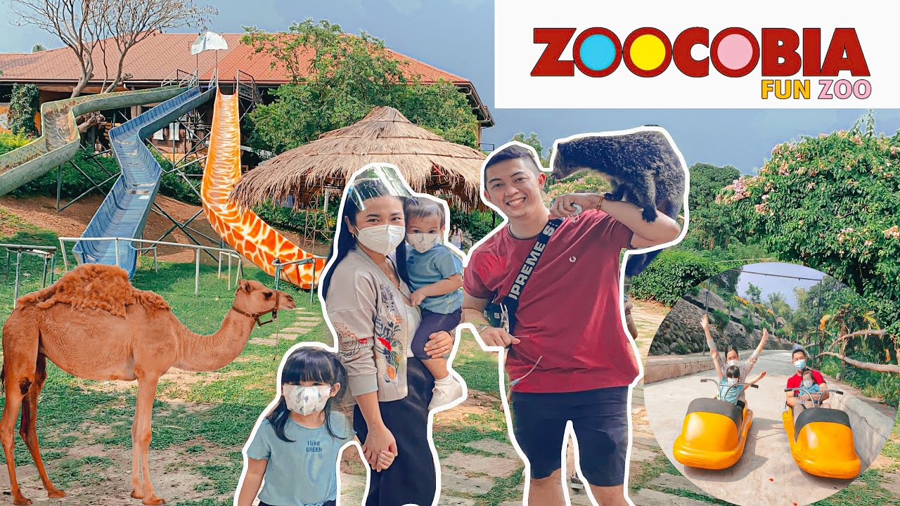 ZOOCOBIA FUN ZOO ADVENTURE🦉🦜 (Clark, Philippines) | Michelle Monterubio ...