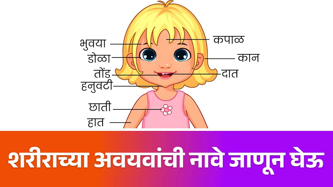 Let's learn Body Parts Names in Marathi . (Video Books for Preschool ...