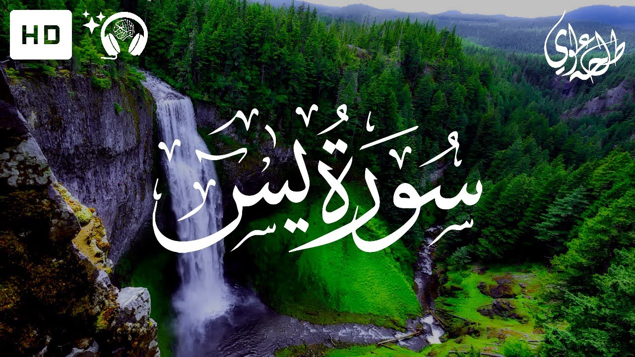 Surah Yasin - Talha Alvi | سورة يس - طلحه علوي - YouTube