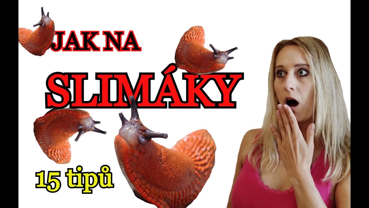 JAK NA SLIMÁKY | SLIMÁCI NA ZAHRADĚ | 15 TIPŮ JAK OCHRÁNIT SVÉ ROSTLINY ...