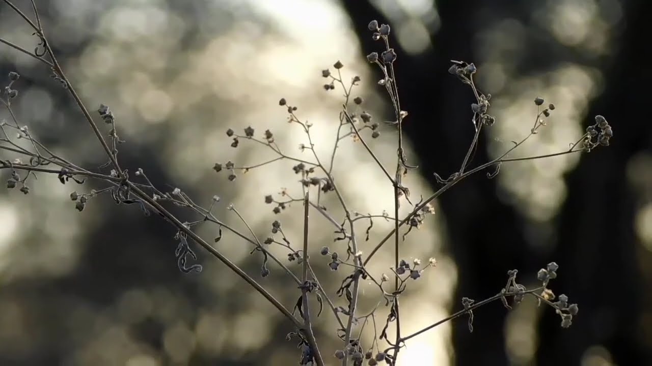 Kohlu Balochistan Pakistan - YouTube