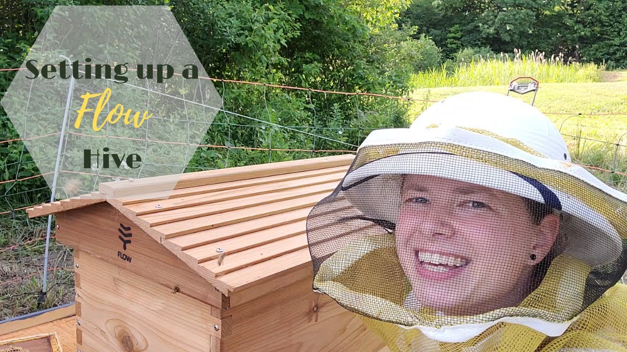 Moving Bees into a Flow Hive - YouTube