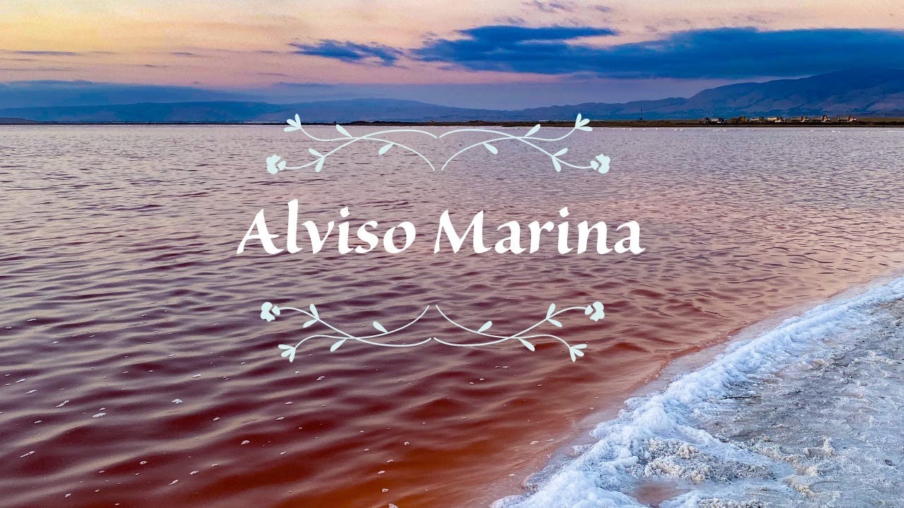 Red Salt Lake, Alviso Marina Park | Bay Area's Best kept secret - YouTube