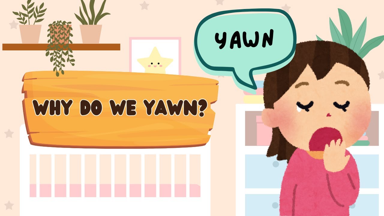 Why do we Yawn?🥱 | Fun Educational Video for Kids - YouTube