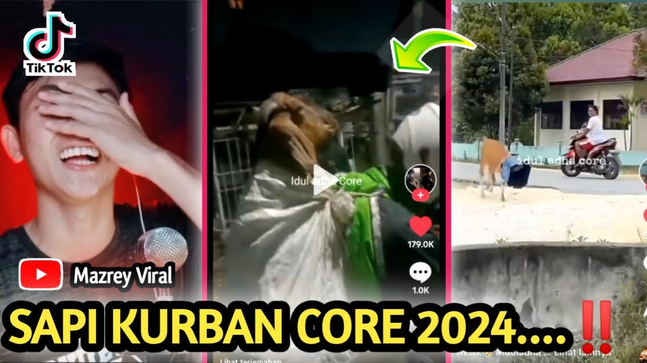 SAPI KURBAN CORE - REACTION TIKTOK - YouTube