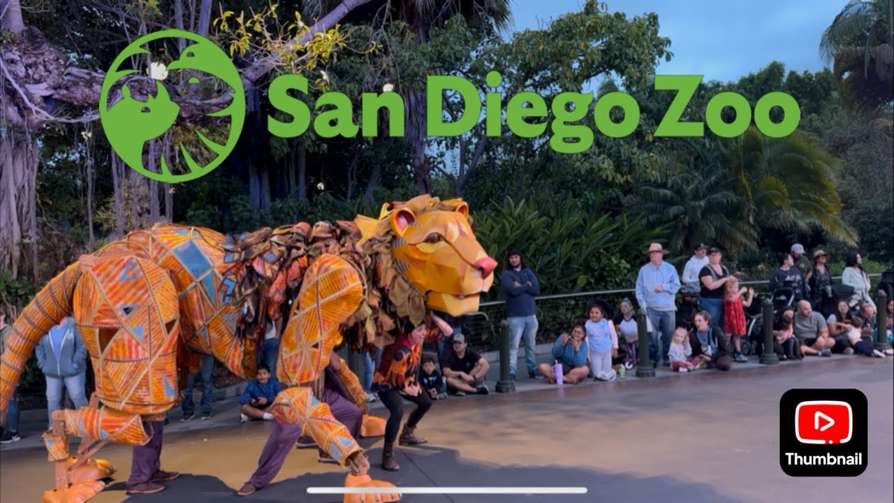 San Diego Zoo: Nighttime Zoo 2025 Event Guide - YouTube