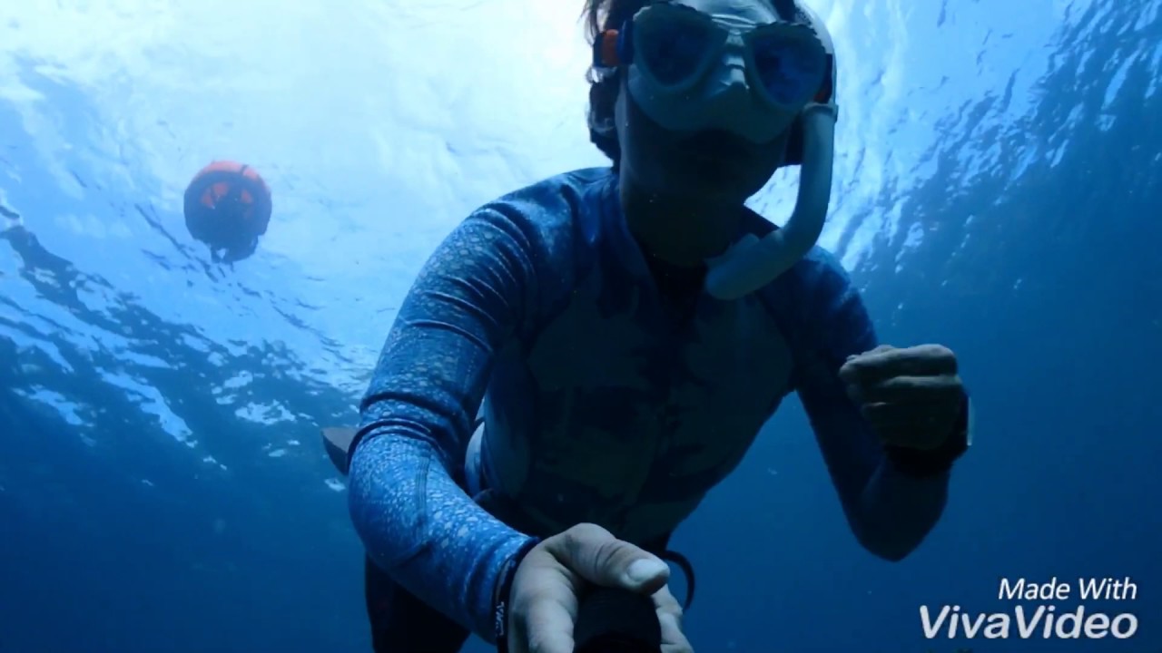 Free diving in Anilao - YouTube