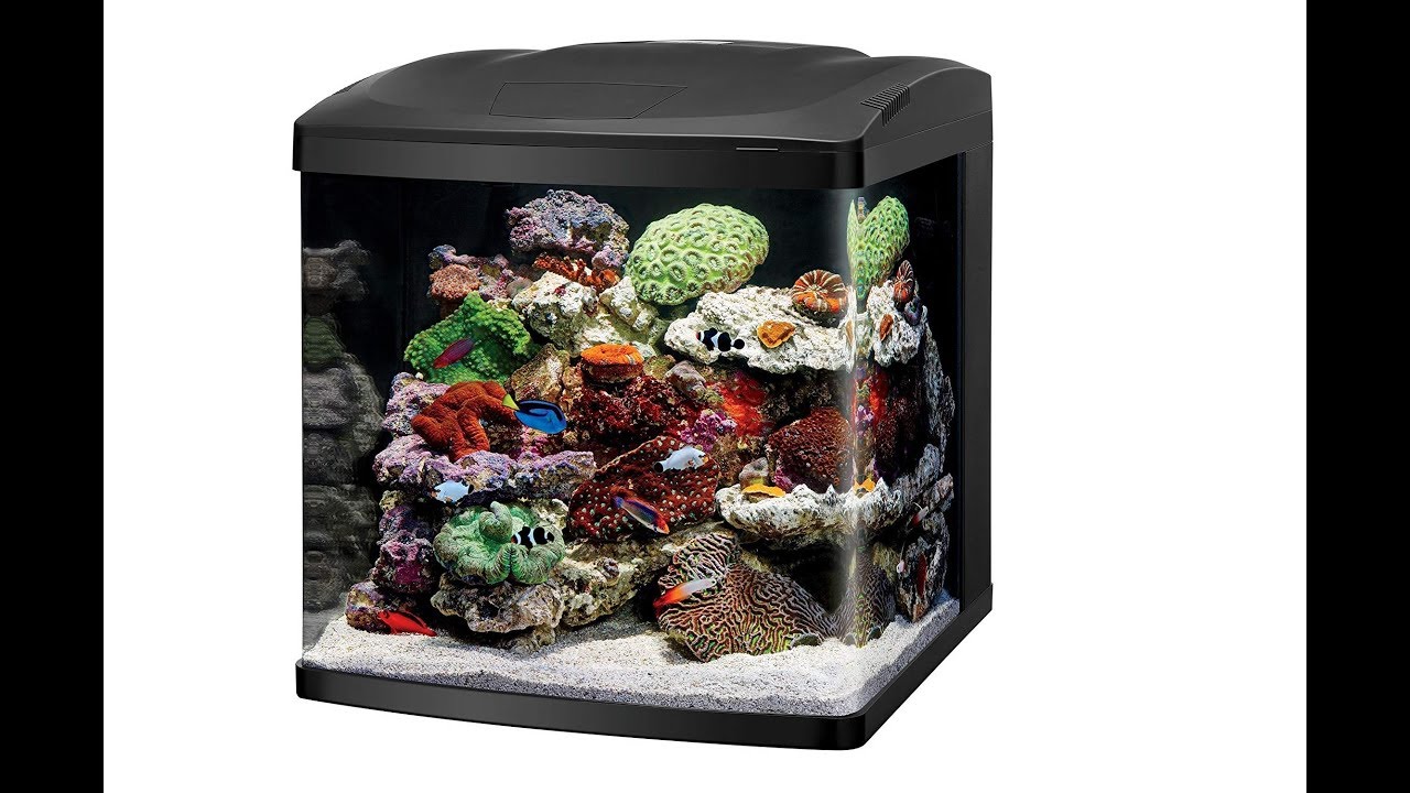 LED Bio Cube Aquarium - YouTube