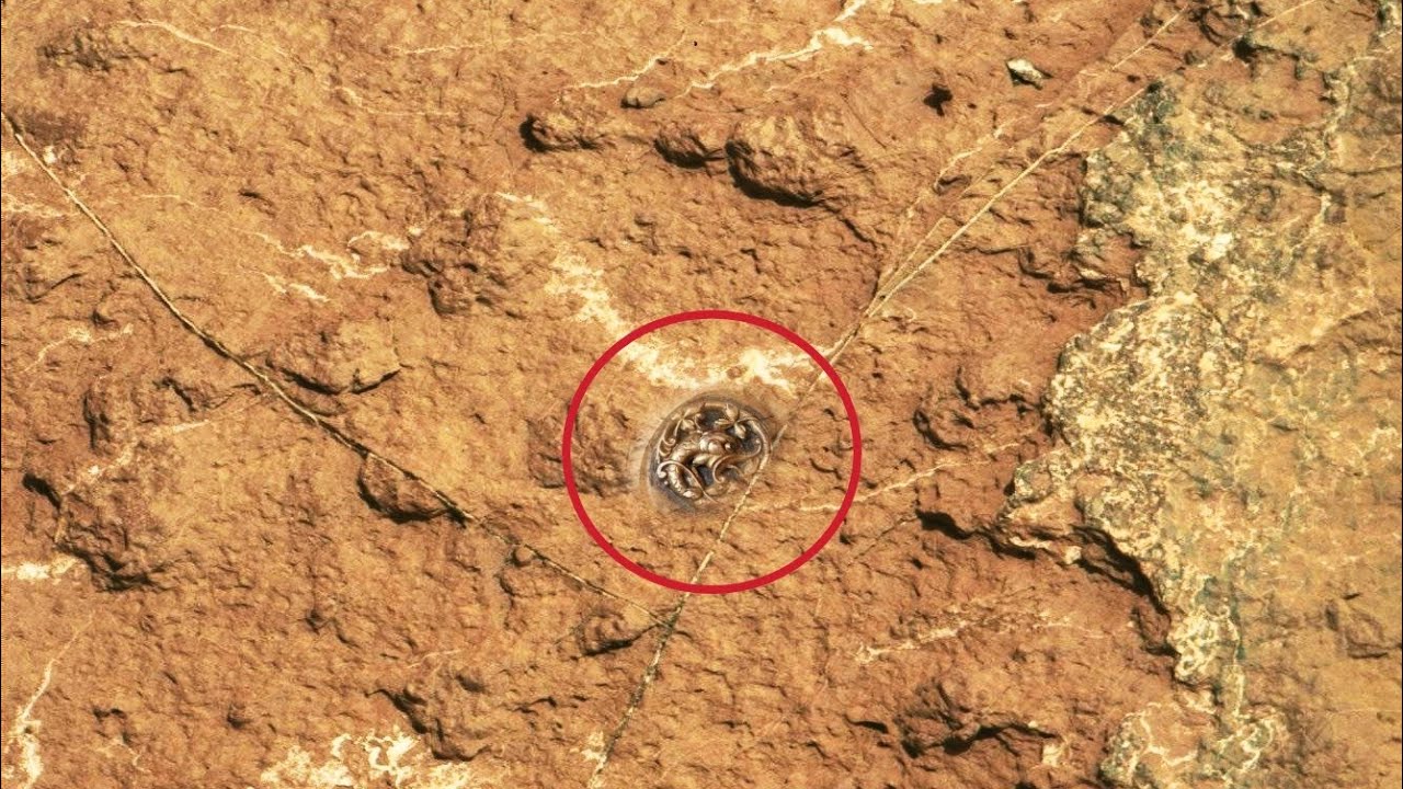 Mars perseverance Rover Captured a New 4k Stunning Video Footage of ...