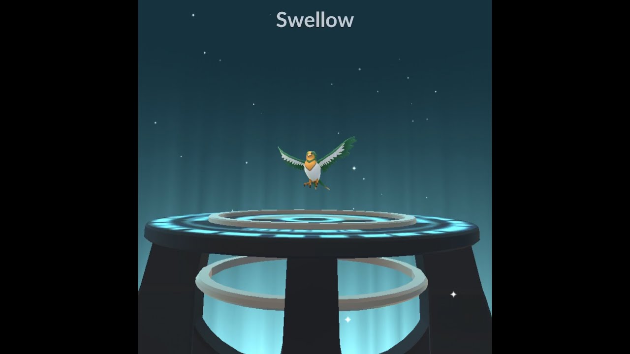 Taillow and swellow shiny Pokémon go - YouTube
