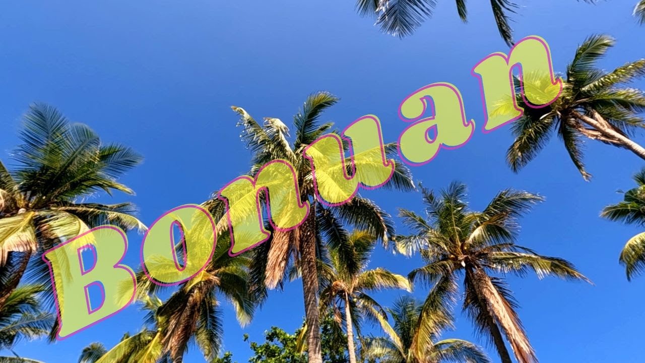 Bonuan (Dagupan City), Pangasinan - 🌳🌳🌳 Filipino-Japanese Friendship ...