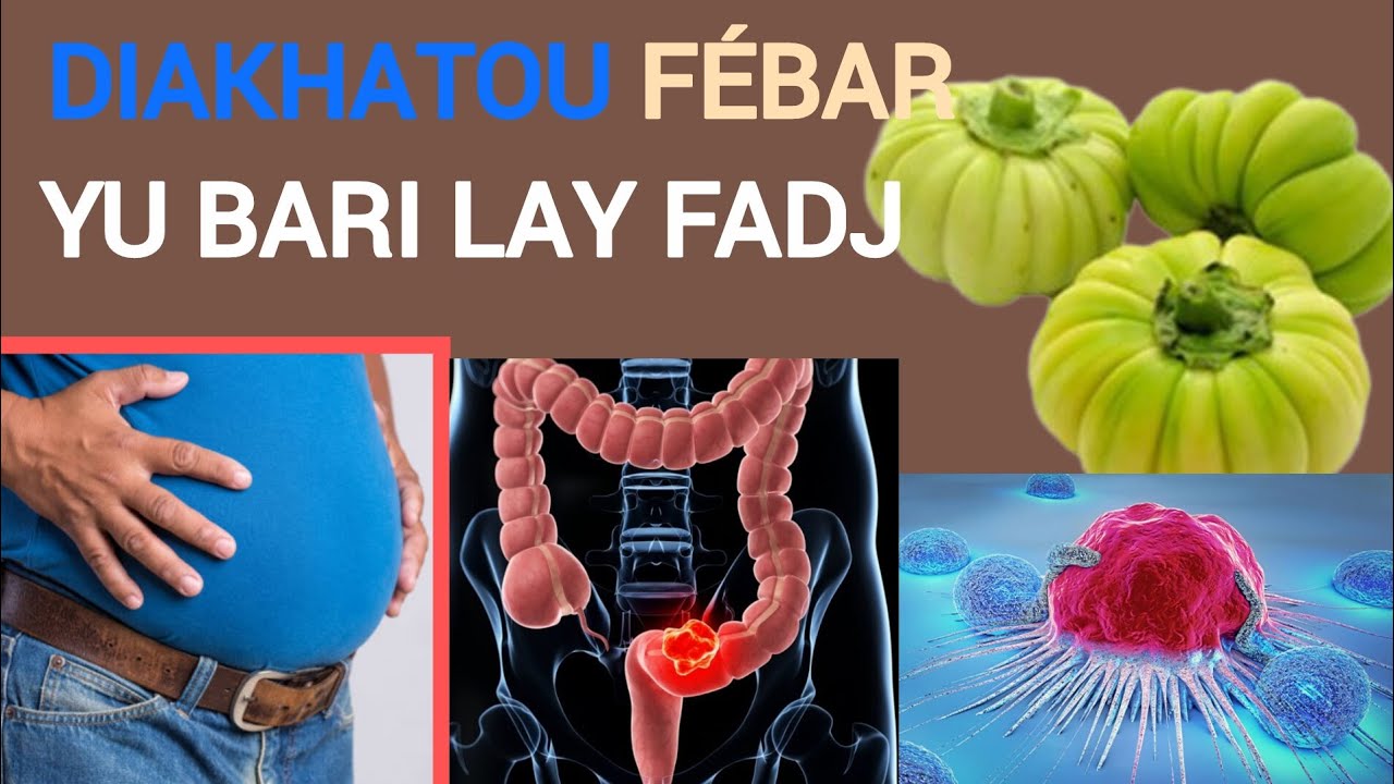 NDIARIGNOU DIAKHATOU DAY FADJ FÉBAR YOU BARI - YouTube