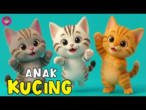 Anak Kucing Meong Meong Lagu Anak Ceria dan Lucu, Lagu Anak & Balita