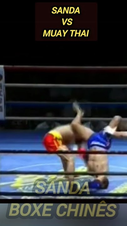 Desafio Sanda vs Muay Thai #sanda #boxechines #mma - YouTube