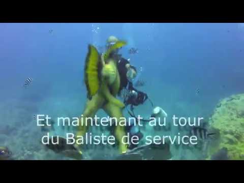 Plongées à l'Ile Maurice avec Hugues Vitry - YouTube
