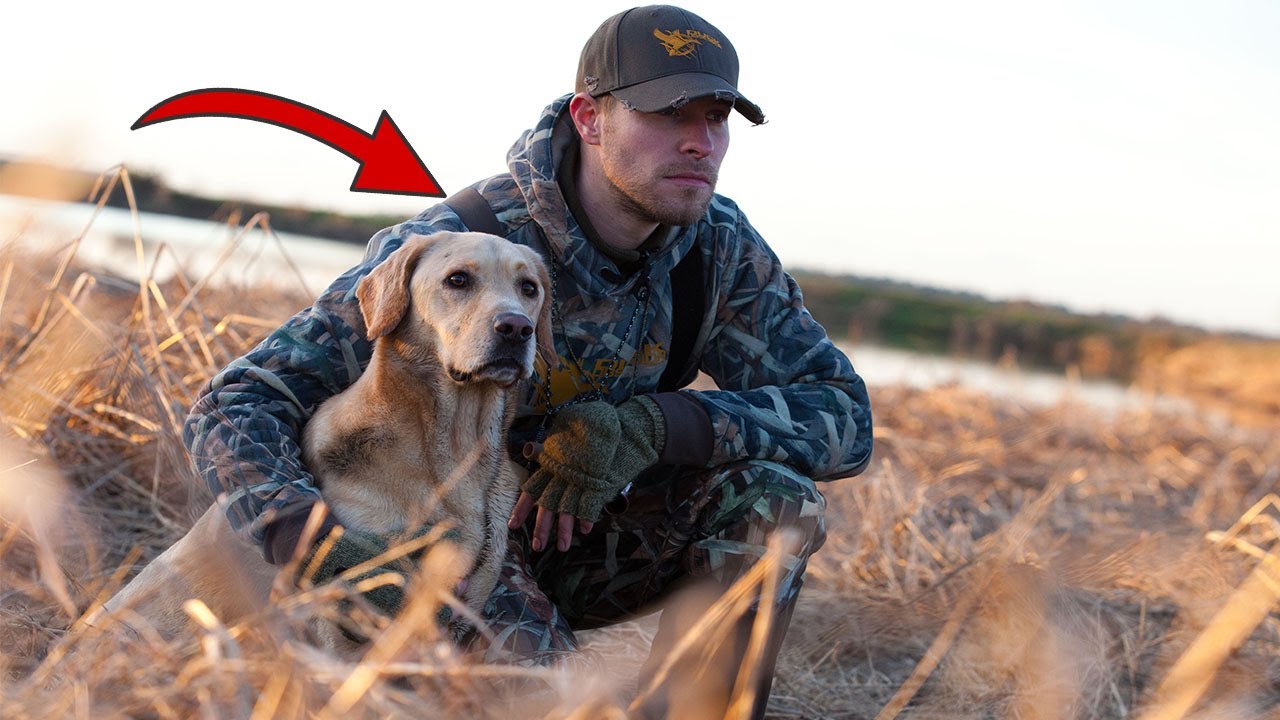 Awesome hunter rescues a injured dog in the forest and after that they ...