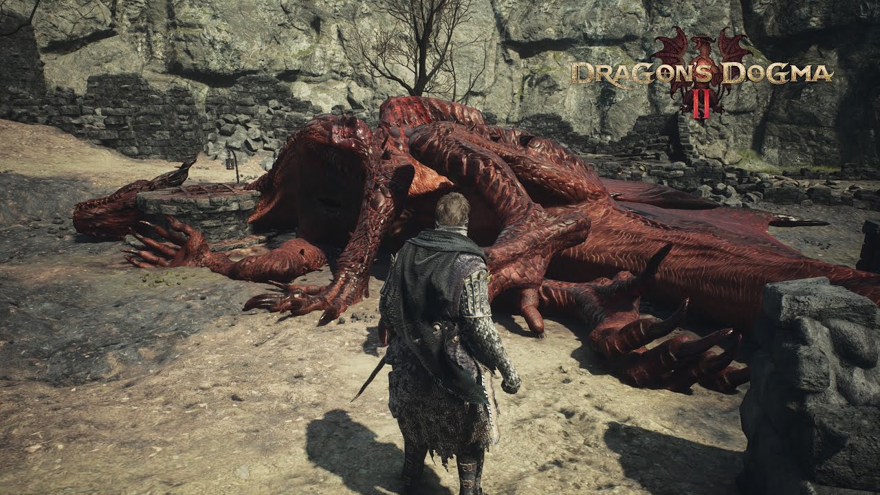 Dragon's Dogma 2 | Thief VS Lesser Dragon - YouTube