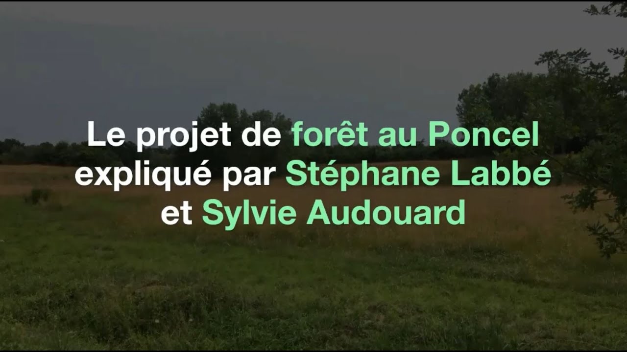 Création d'une forêt au Poncel - YouTube
