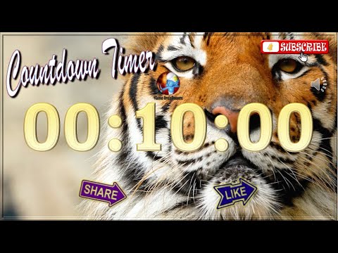 Countdown [10 Minutes] Timer - Tiger Background - YouTube