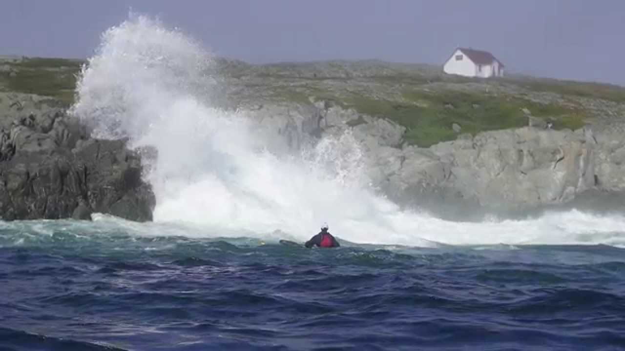 Kayaking with Whales in Newfoundland - Sea Kayaking Canada - YouTube