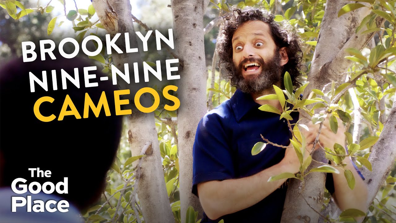 Brooklyn 99 Actors who also starred in The Good Place - YouTube
