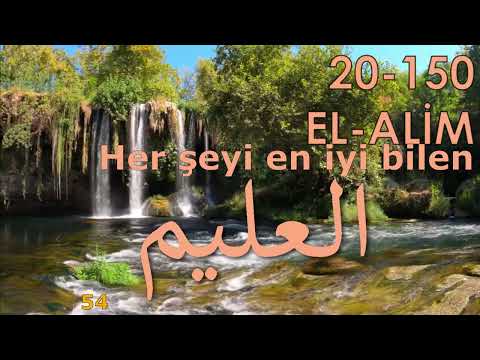 YA ALİM (EL ALİM) ESMA ZİKRİ DİNLE (150 DEFA - SAYAÇLI)