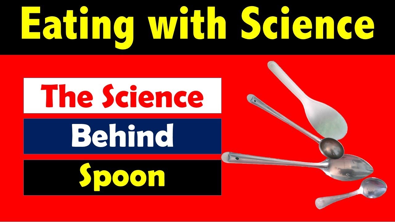 Spoon as a Lever🥄 | Science behind Spoon | Domestic Physics - YouTube