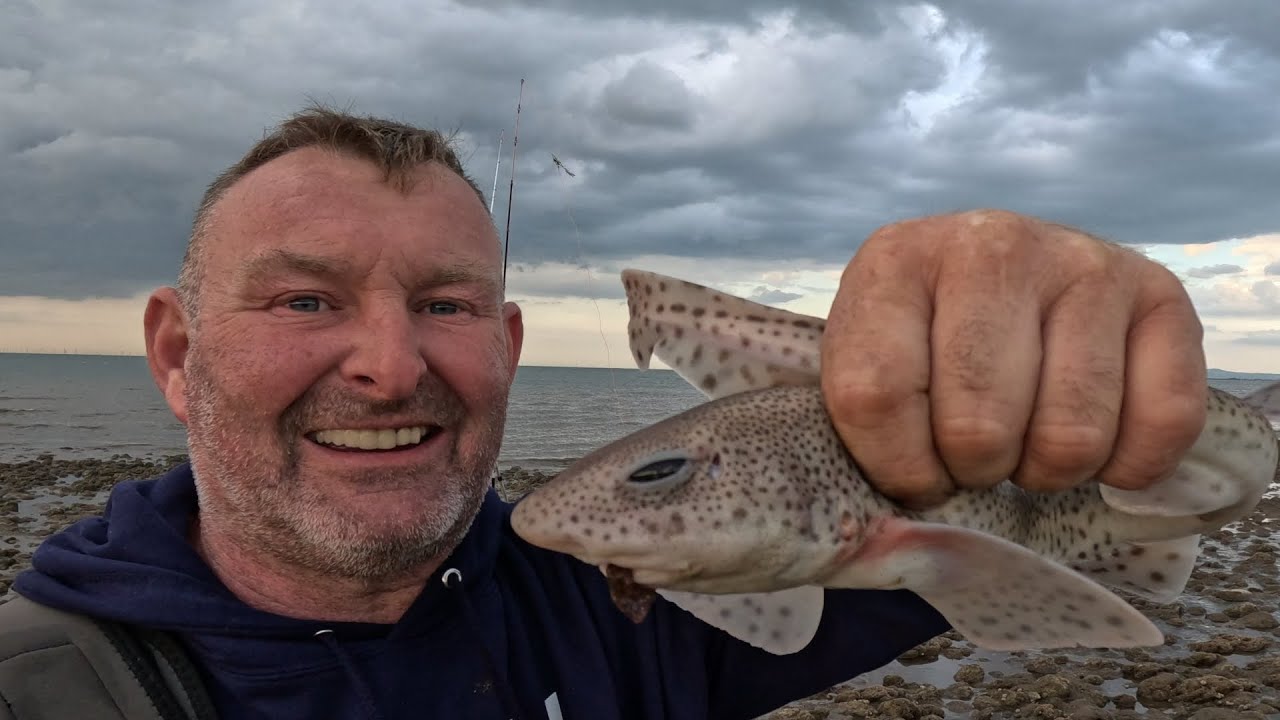 Llanddulas bass or dog fest with the family . uk sea fishing - YouTube