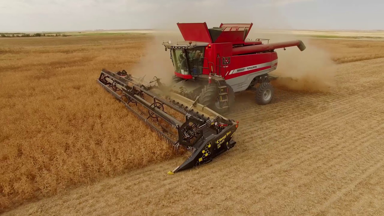 Honey Bee AirFLEX Draper Header - YouTube