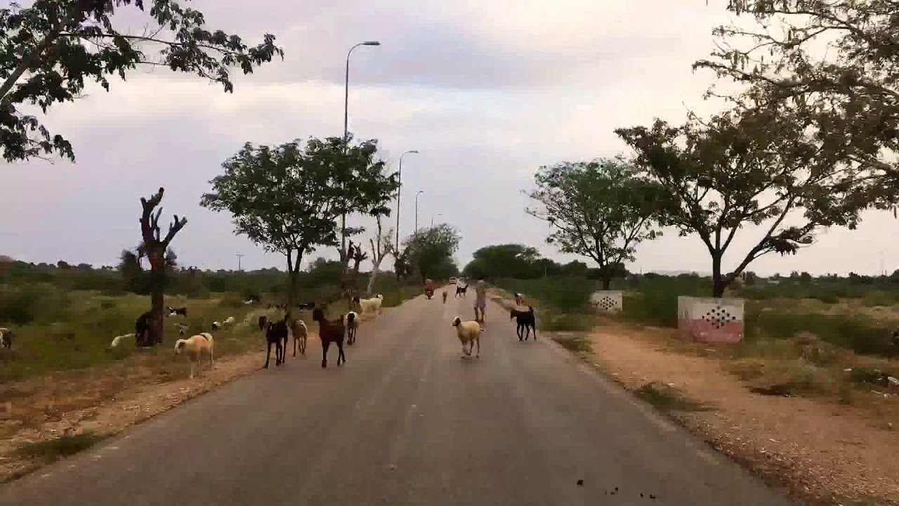 Nagarparkar The Beauty of Pakistan | Tharparkar | Dileep Permar - YouTube