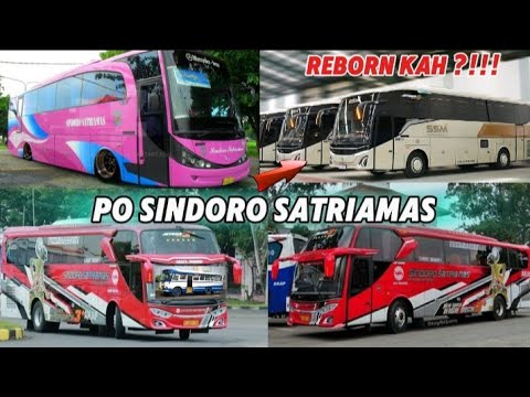 Sejarah PO Sindoro Satriamas Anak Petani Jadi Juragan Bus Konglomerat ...